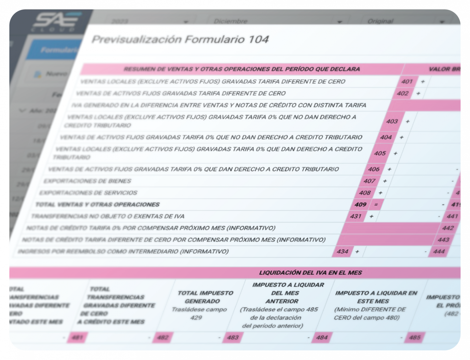 Sistema Contable - SAE Cloud